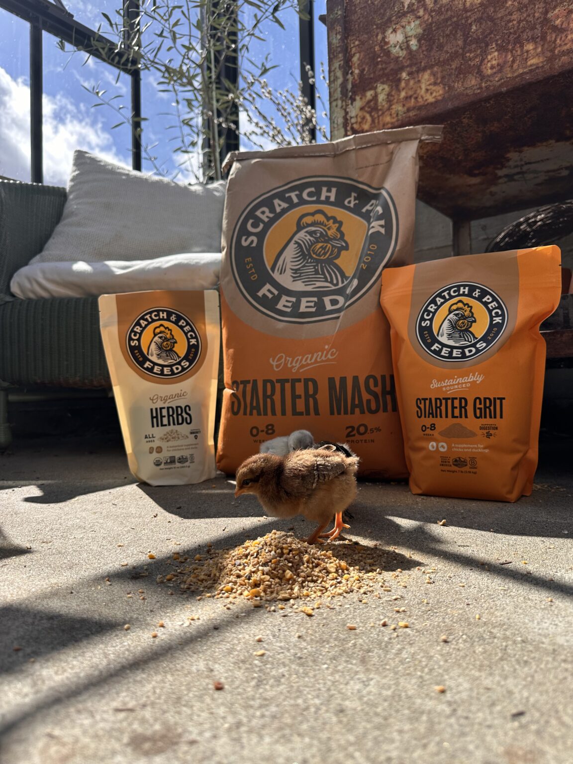 Starter Mash Bundle - Scratch & Peck Feeds