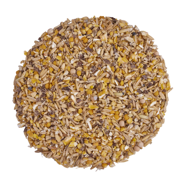 Organic Goat Feed - Scratch & Peck Feeds