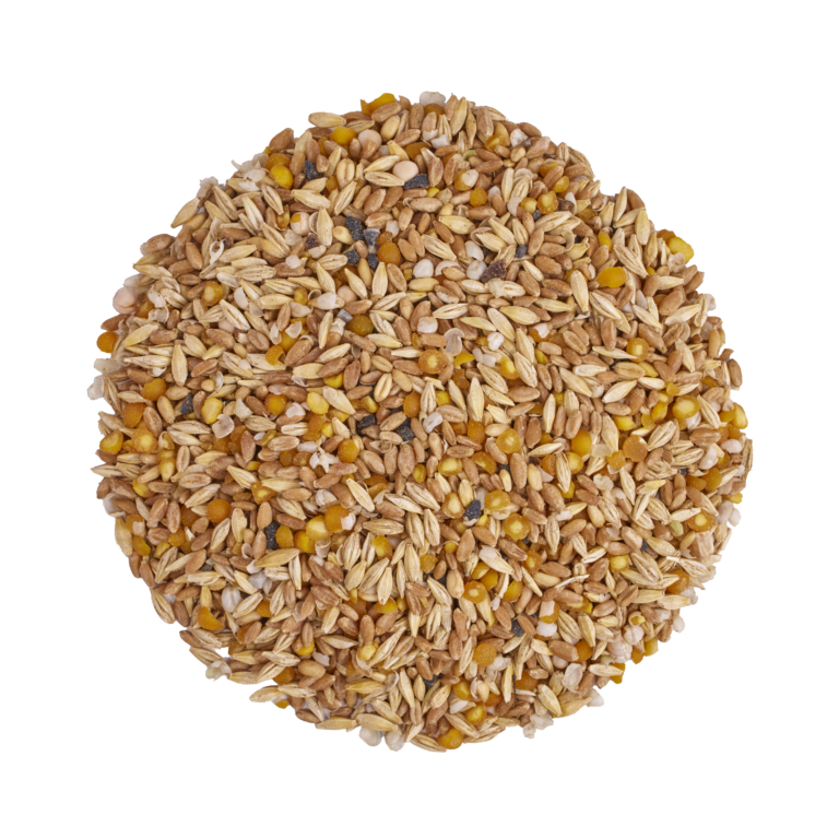 Organic Layer Mash 16% - Scratch & Peck Feeds