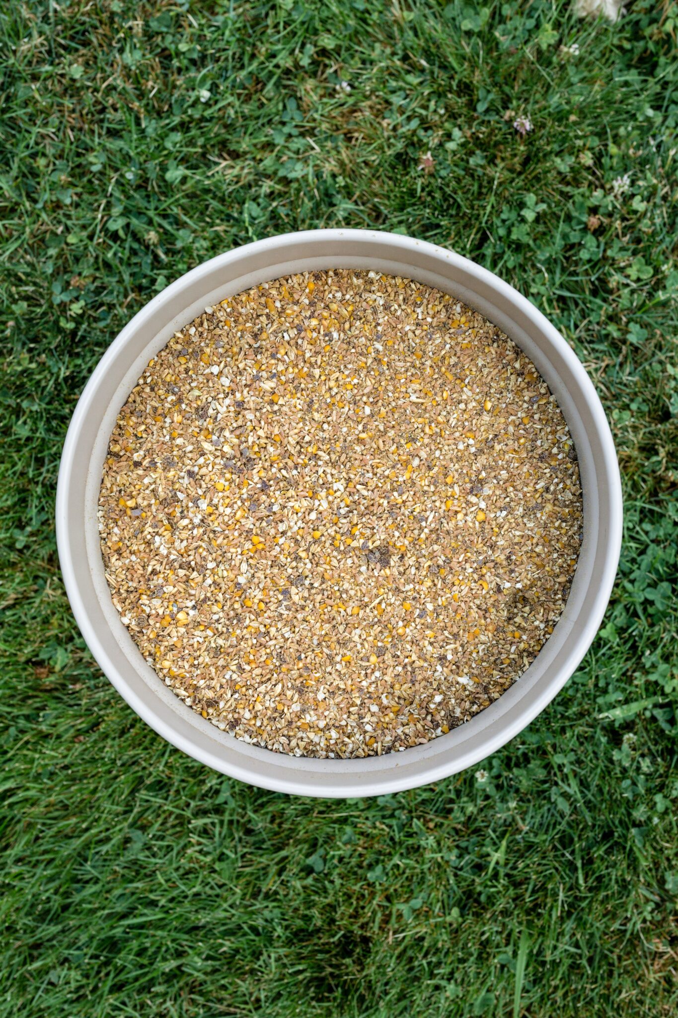 Organic Starter Mash - Scratch & Peck Feeds