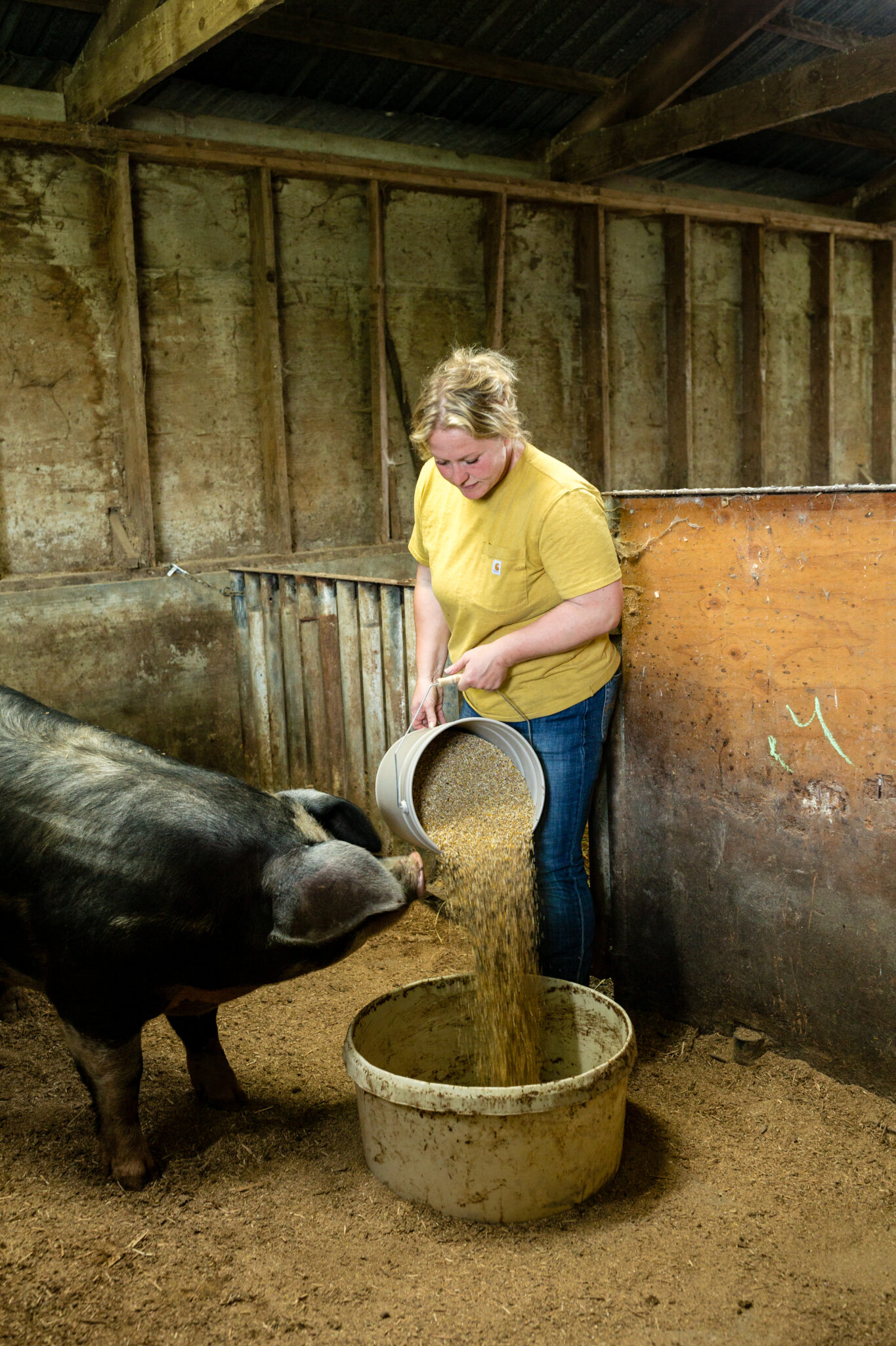 Organic Pig Grower Feed - Scratch & Peck Feeds