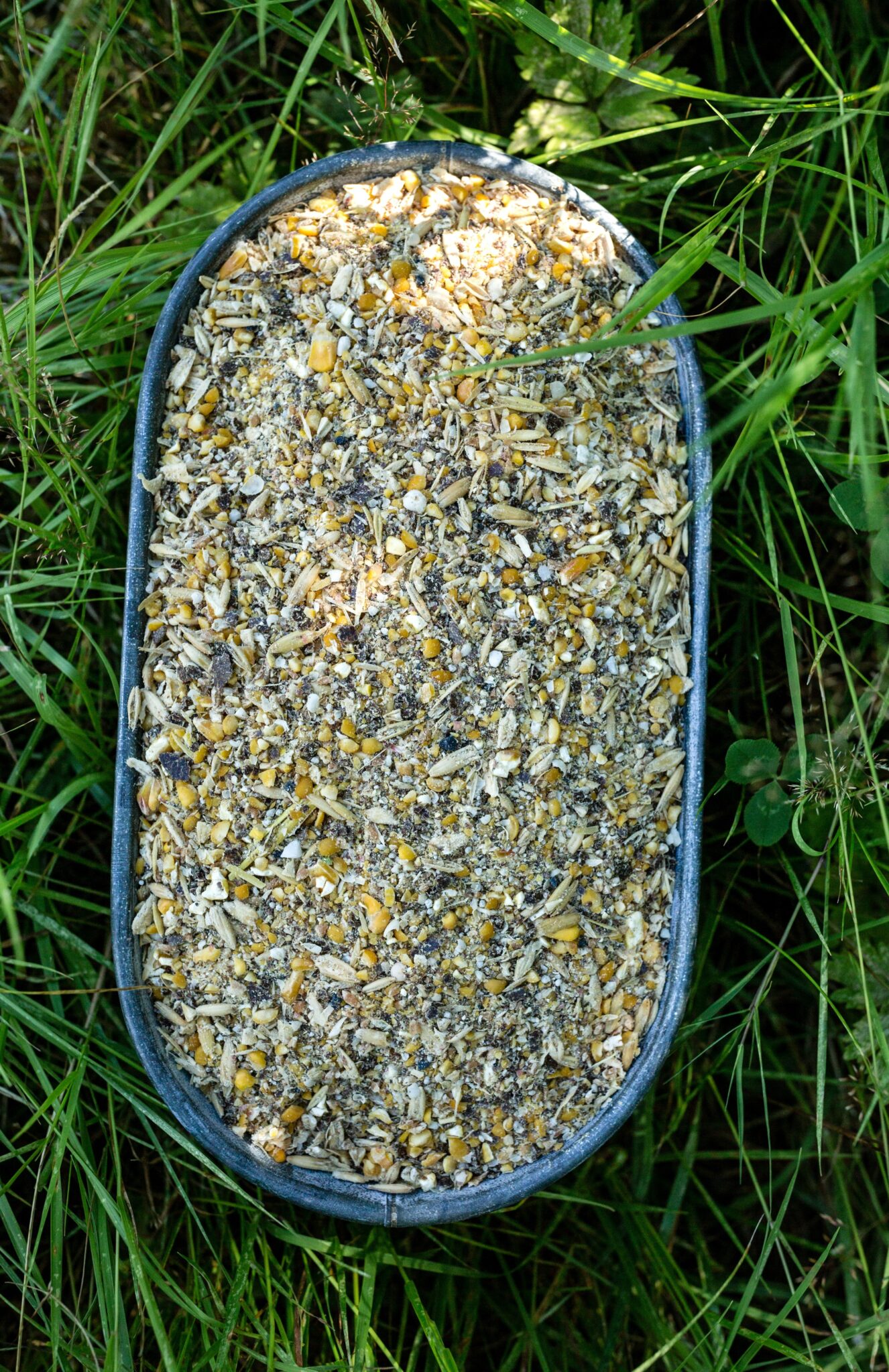 Organic Goat Feed - Scratch & Peck Feeds