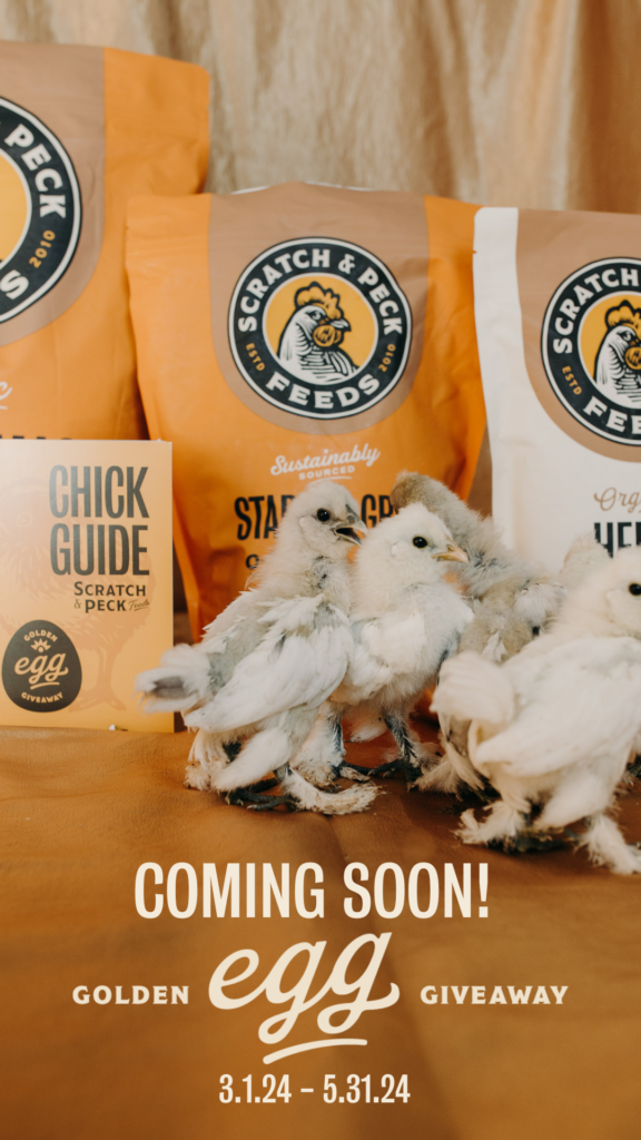 Starter Mash Bundle - Scratch & Peck Feeds