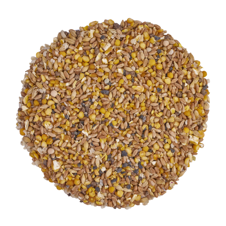 Organic Layer Mash 16% + Corn - Scratch & Peck Feeds