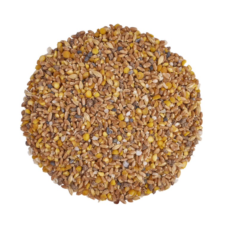 Organic Layer Mash 18% - Scratch & Peck Feeds