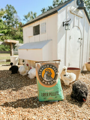 Organic Layer Pellets 16% - Scratch & Peck Feeds