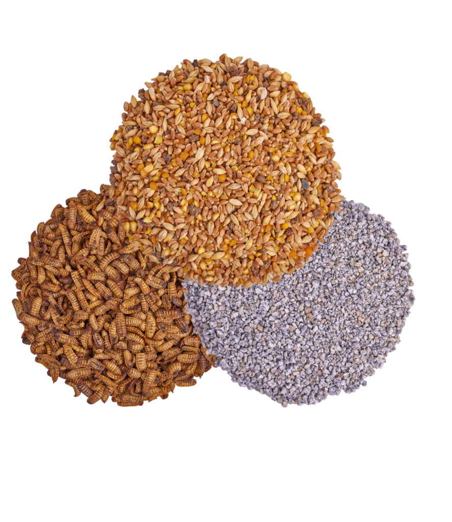 Grower Mash Bundle - Scratch & Peck Feeds