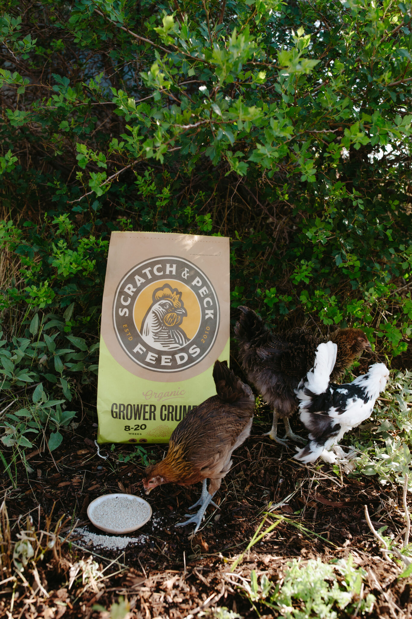 Organic Grower Crumbles - Scratch & Peck Feeds