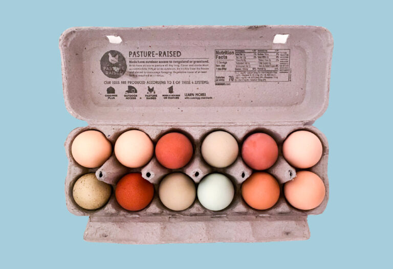 How to Read Egg Label Cartons - Scratch & Peck Feeds
