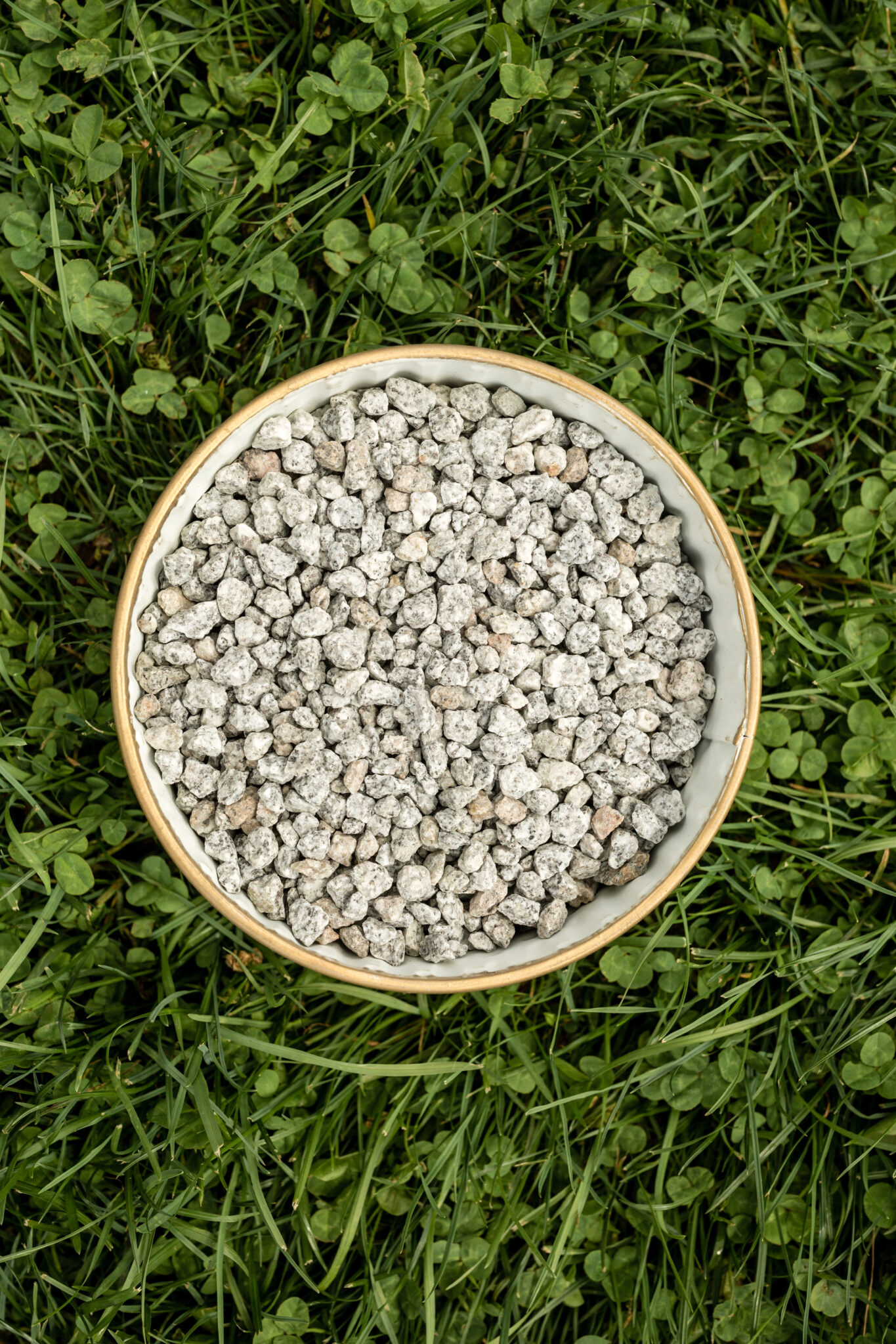 Layer Grit - Scratch & Peck Feeds