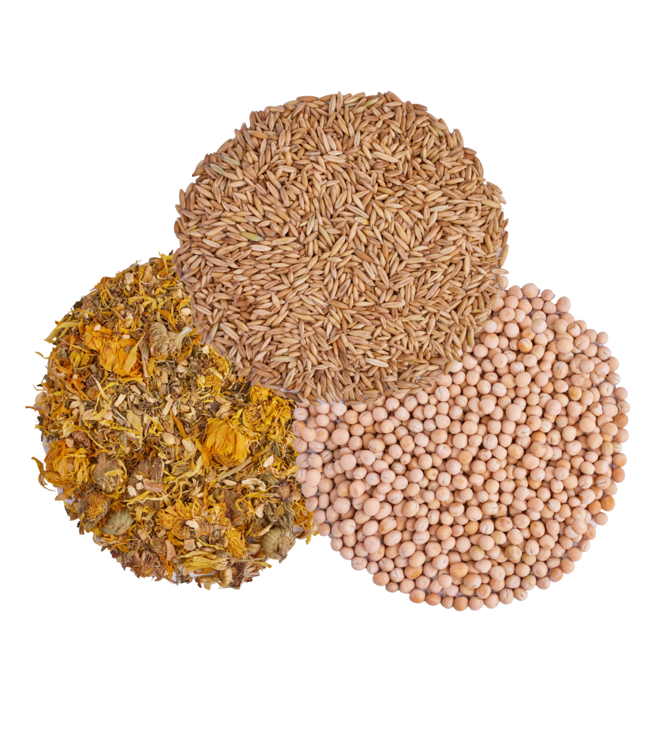 Feed Them Fodder Bundle - Scratch & Peck Feeds