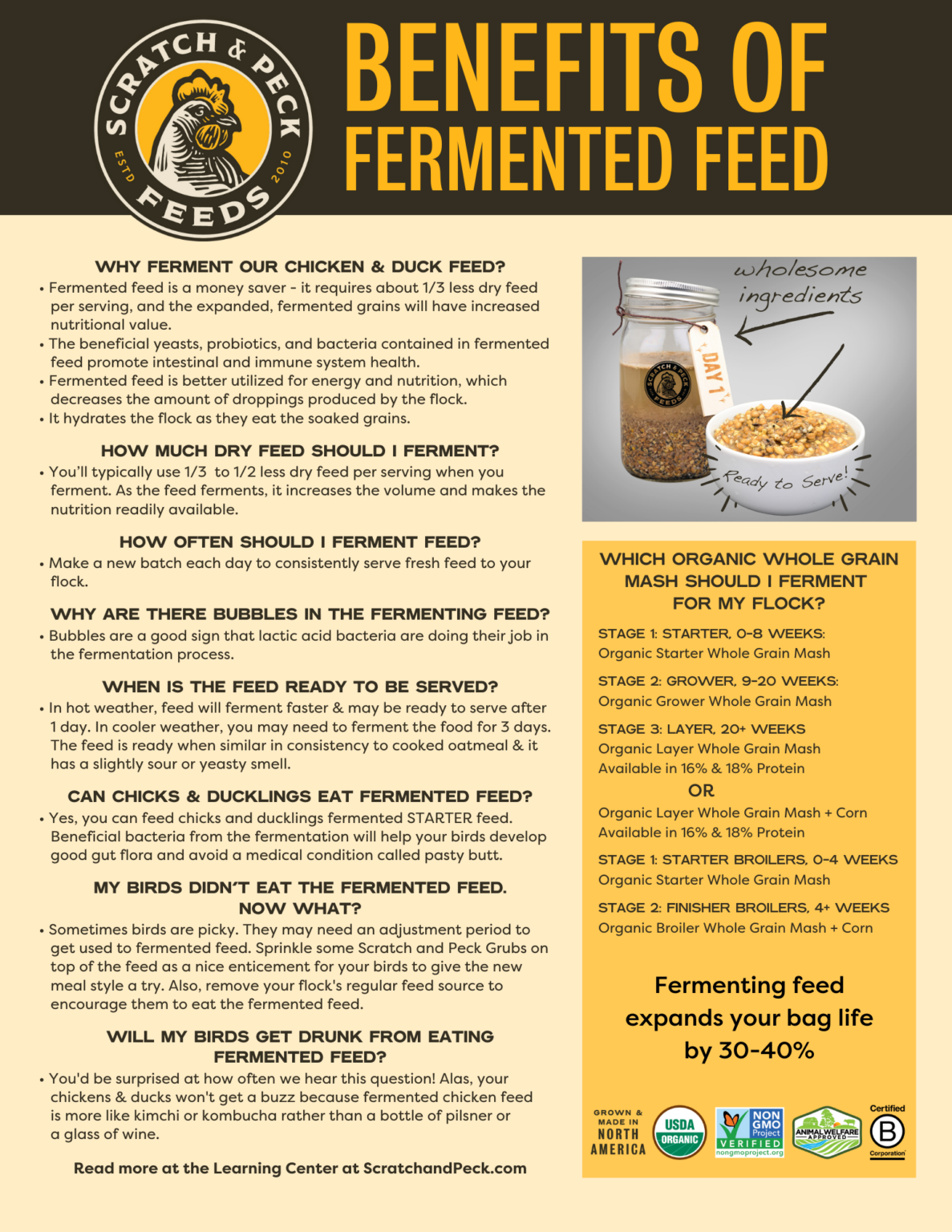 How to Ferment Chicken Feed - Scratch & Peck Feeds