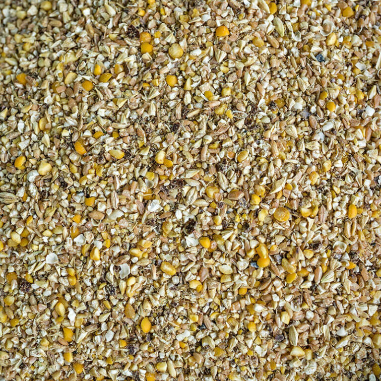 Organic Chicken Feed | Scratch & Peck Feeds