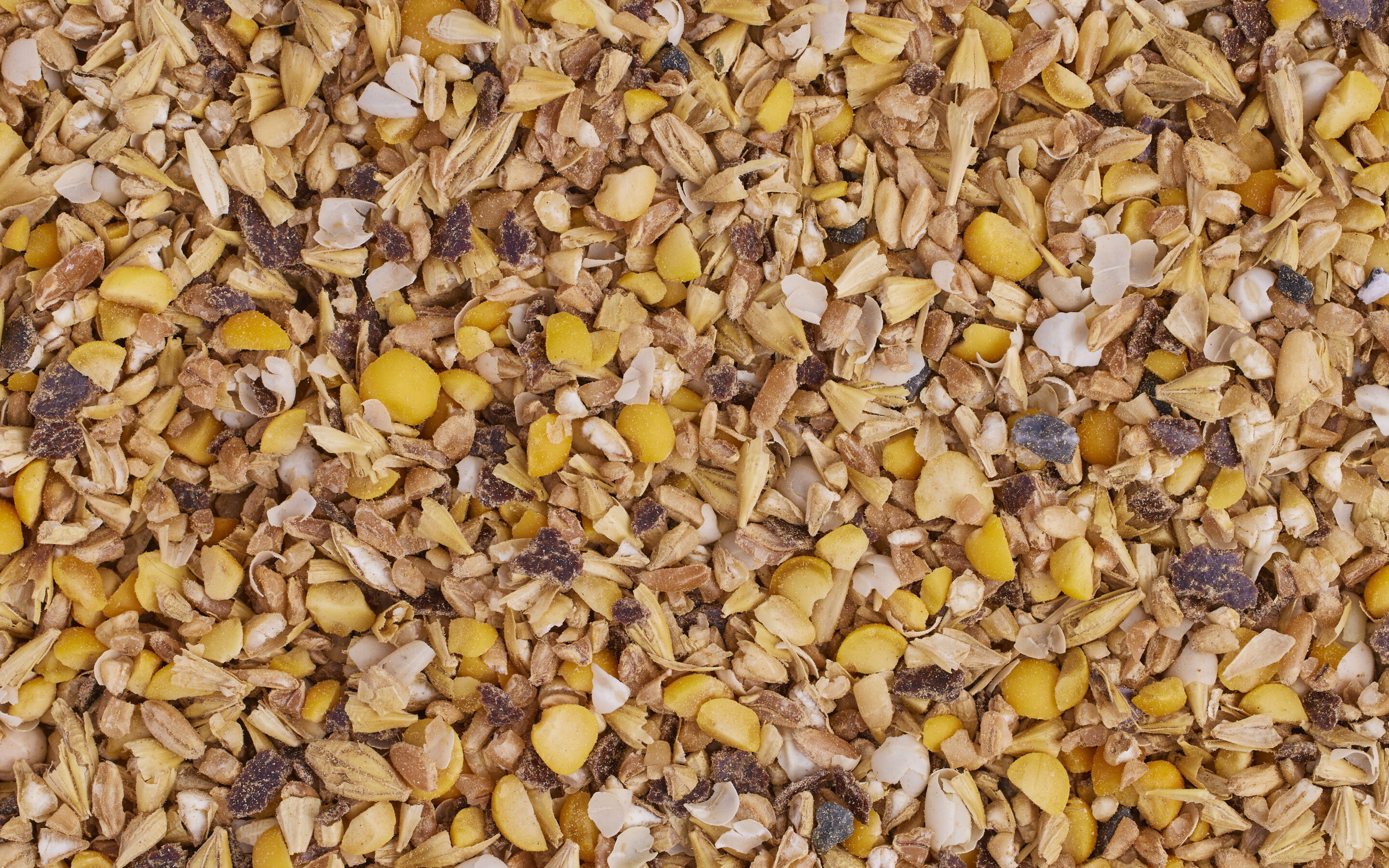 Organic Chicken Feed | Scratch & Peck Feeds