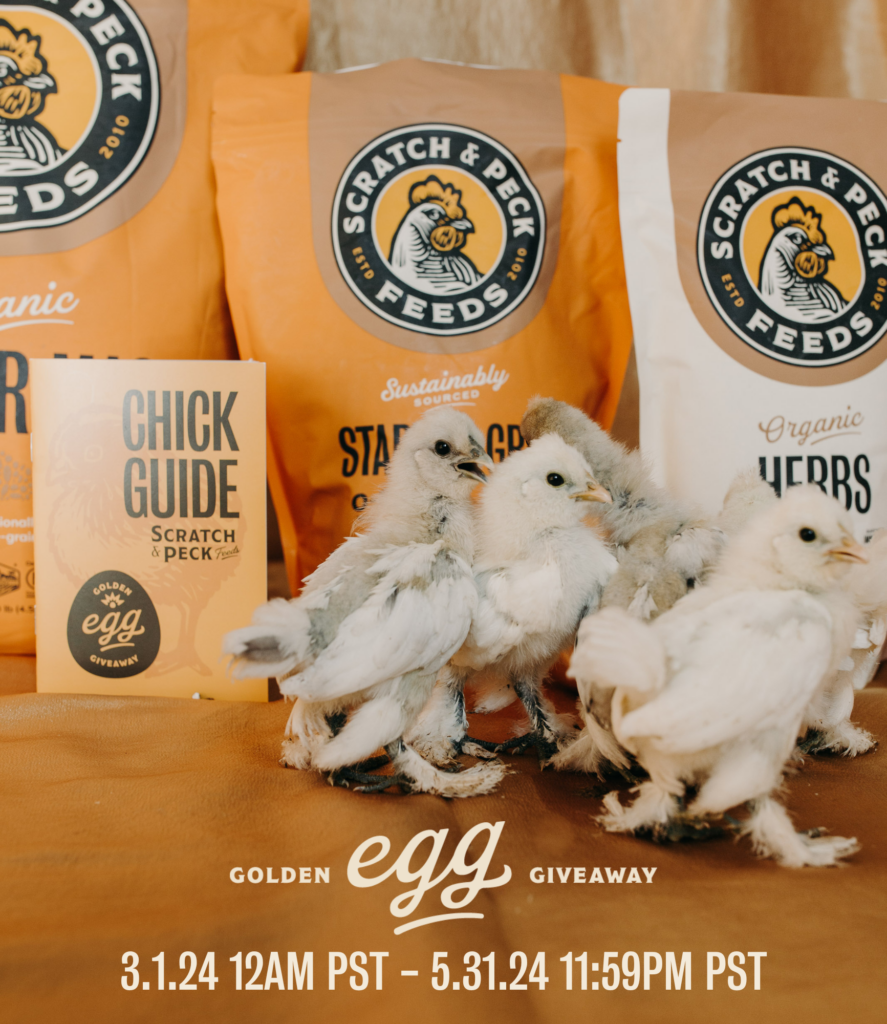 Starter Mash Bundle - Scratch & Peck Feeds