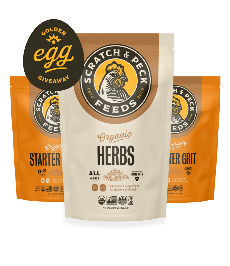 Starter Mash Bundle - Scratch & Peck Feeds