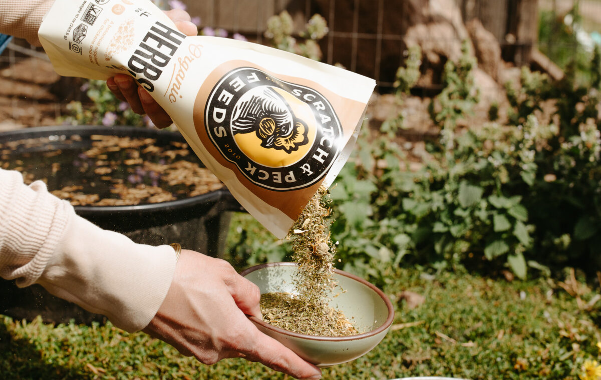 Organic Chicken Feed | Scratch & Peck Feeds